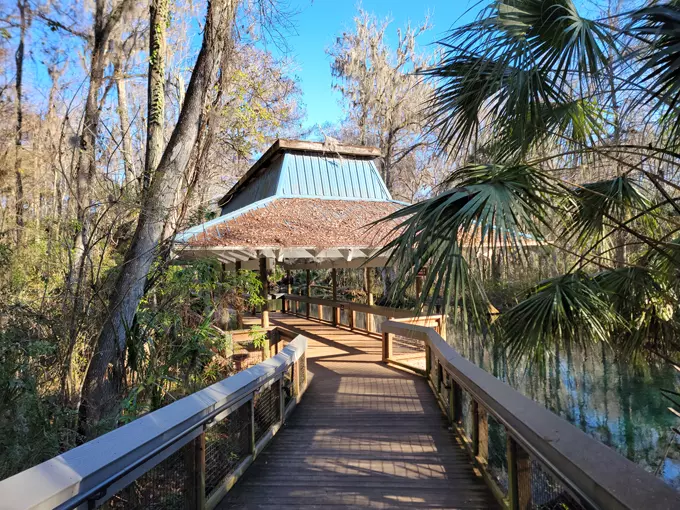 silver springs state park 9