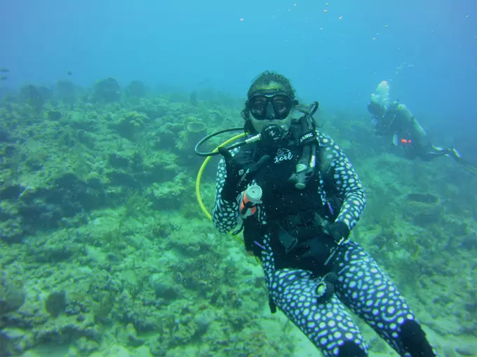 singer island 7
