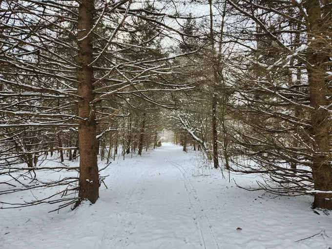 Sleepy Hollow State Park 8