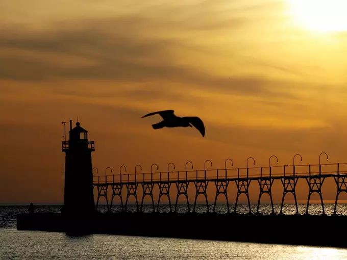 South Haven 8