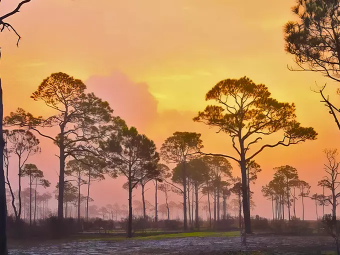 st. george island state park 1