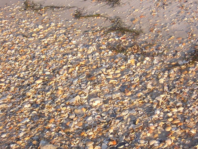 st. george island state park 3