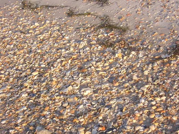 st. george island state park 3