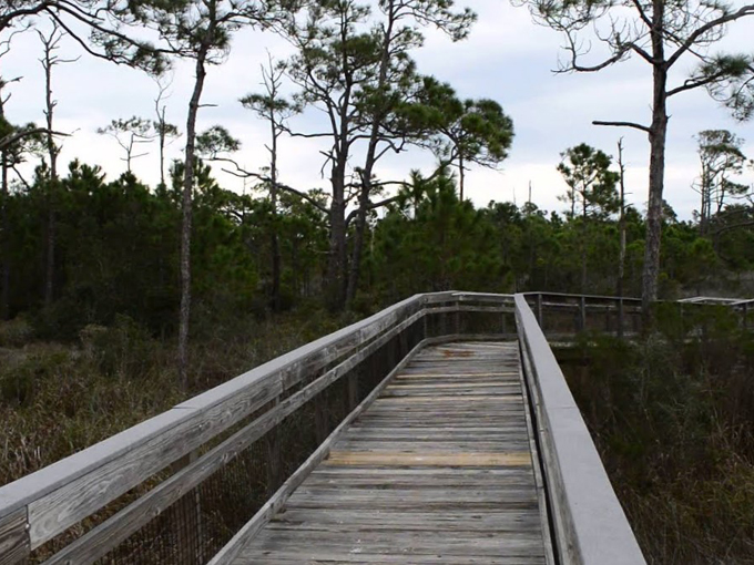 st. george island state park 6
