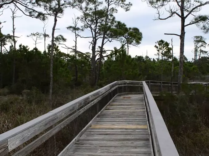 st. george island state park 6