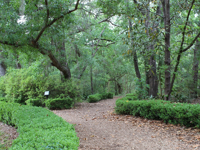 tallahassee museum 2