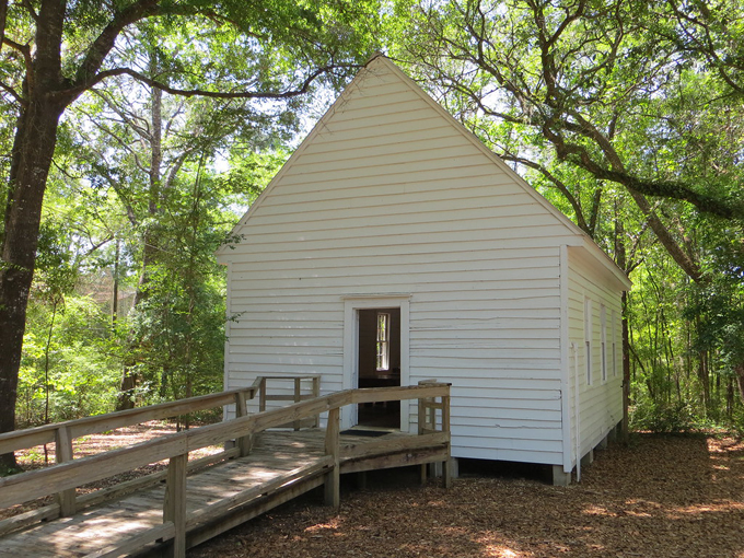 tallahassee museum 3