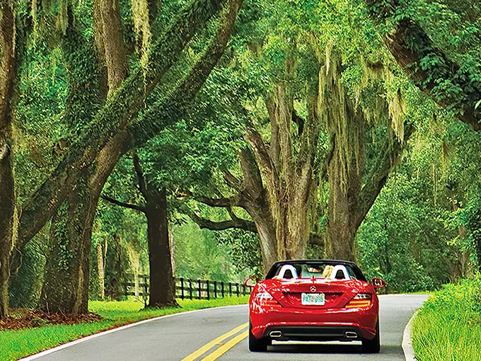 tallahassee canopy roads 1