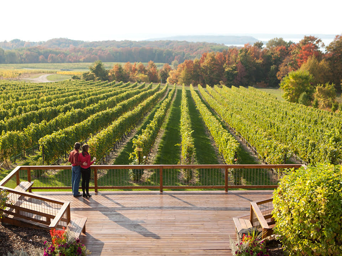Traverse City 7