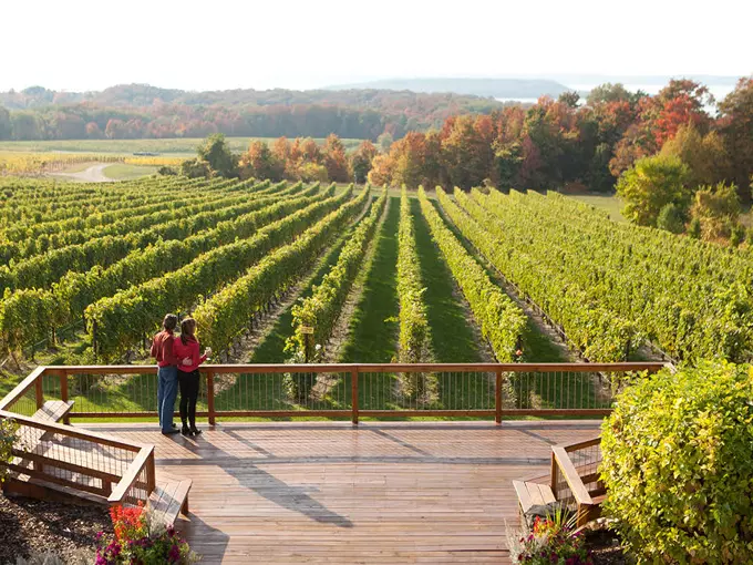 Traverse City 7
