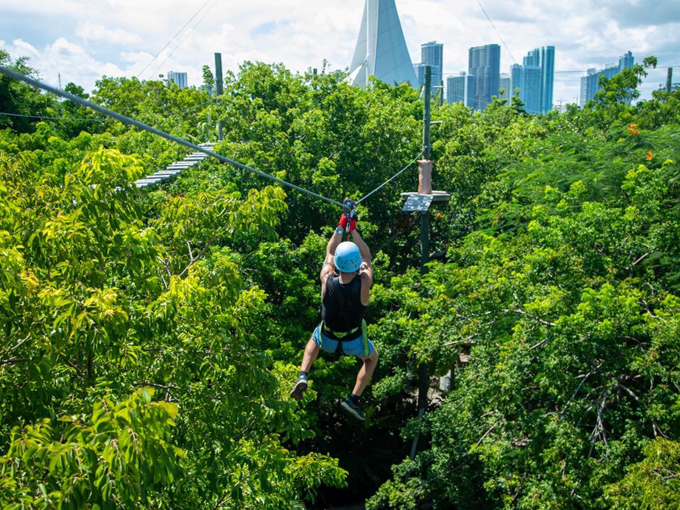 Treetop Trekking Miami 3