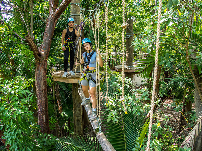 Treetop Trekking Miami 4