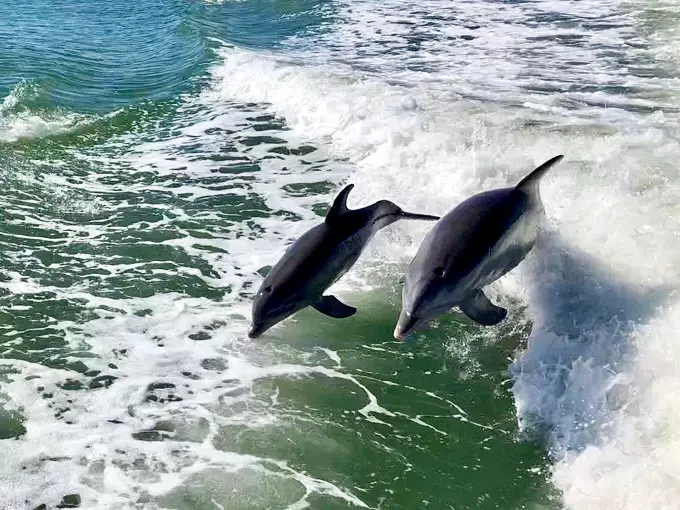 Vero Beach 3