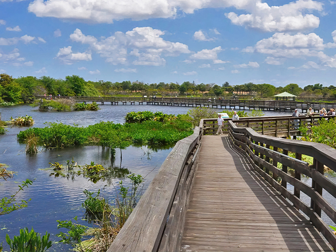 wakodahatchee wetlands loop 1