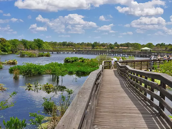 wakodahatchee wetlands loop 1