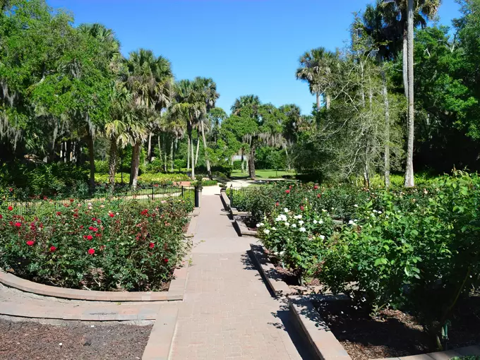 washington oaks gardens state park 2