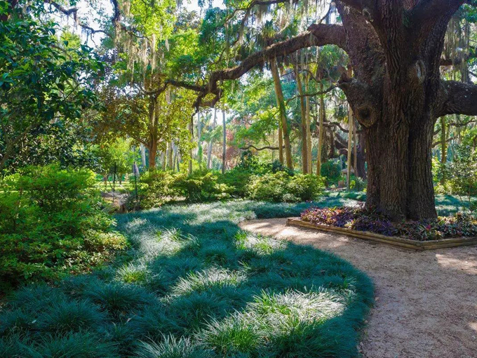 washington oaks gardens state park 4