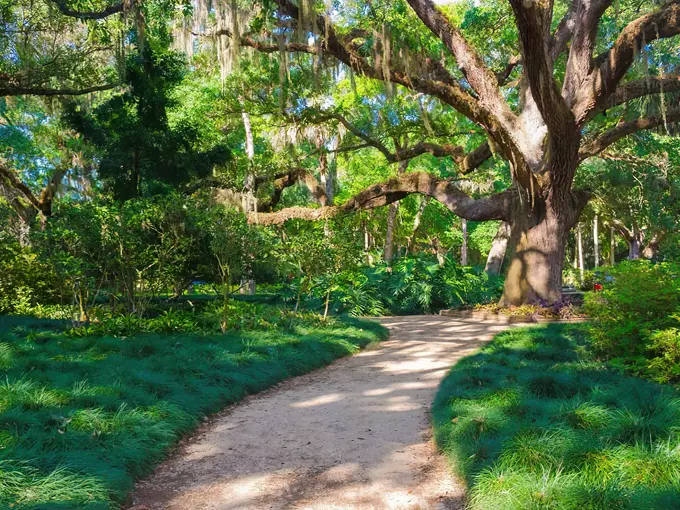 washington oaks gardens state park 5