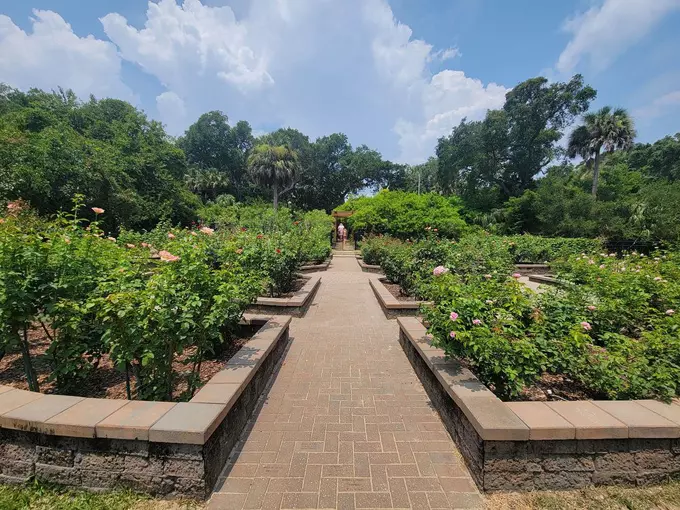 washington oaks gardens state park 8