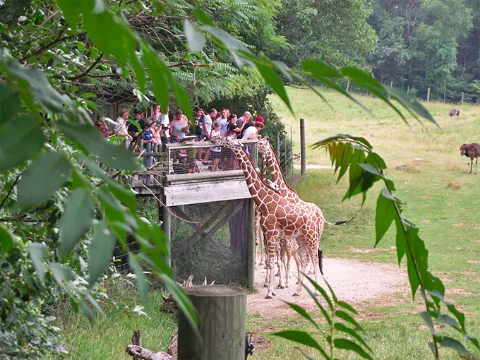 Wild Africa Exhibit at Binder Park Zoo 1