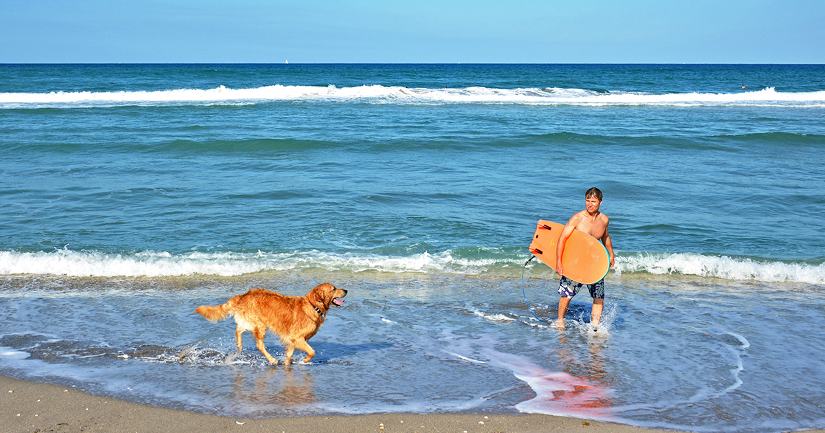dog friendly beach florida ftr