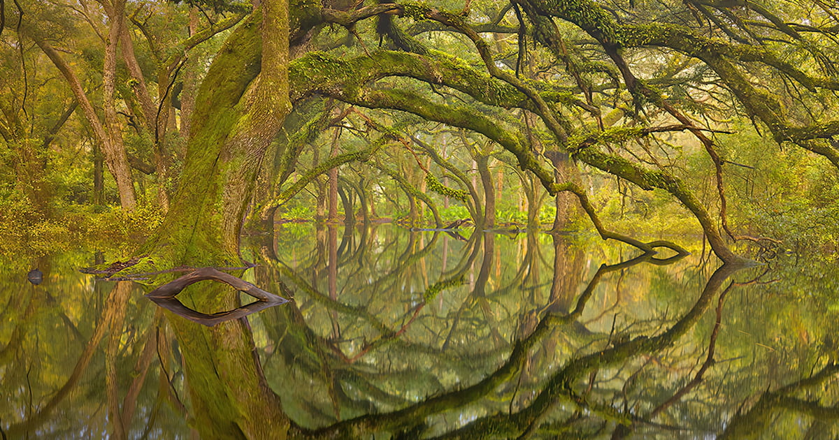 hidden oak garden florida ftr