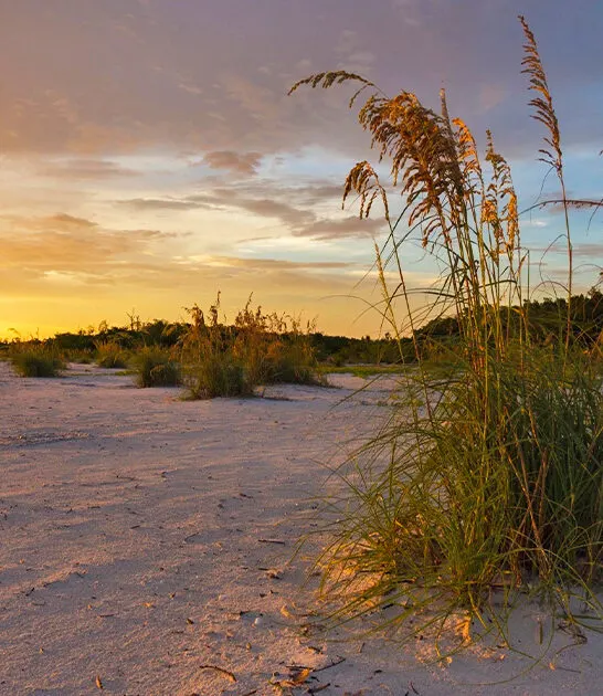 lovers key park florida ftr