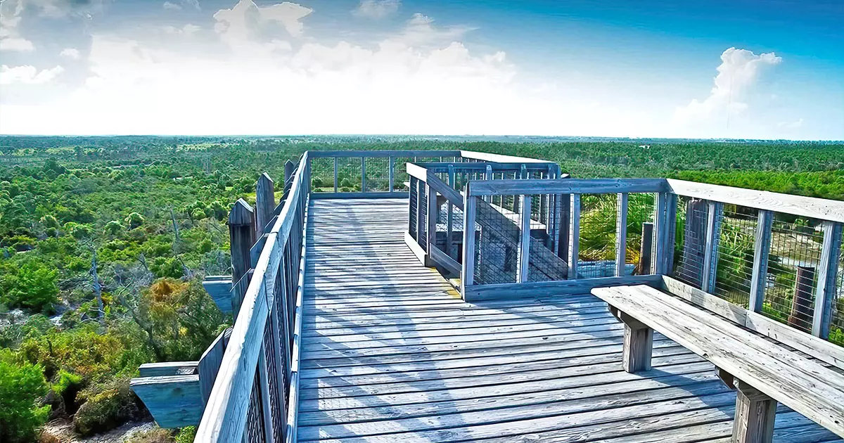 massive florida state park ftr