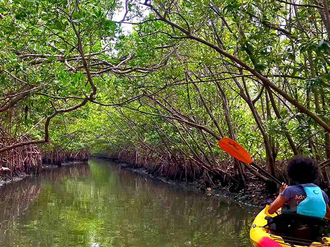 oleta river state park 1