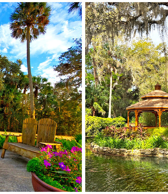 storybook-garden-florida ftr