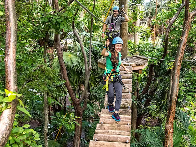 Treetop Trekking Miami 1