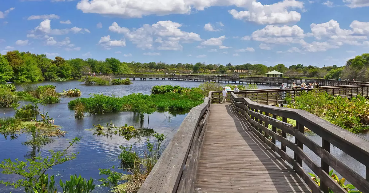 wakodahatchee wetlands loop florida ftr