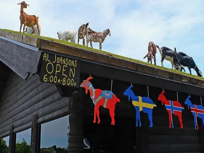 Al Johnson’s Swedish Restaurant & Butik 1