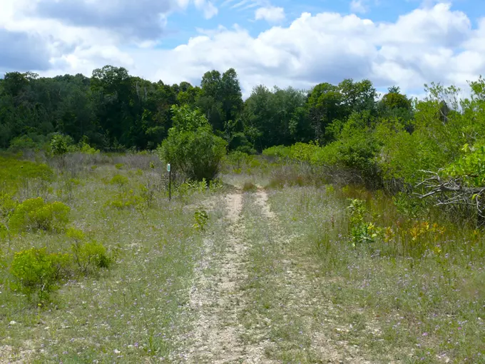 Bassett Island 3