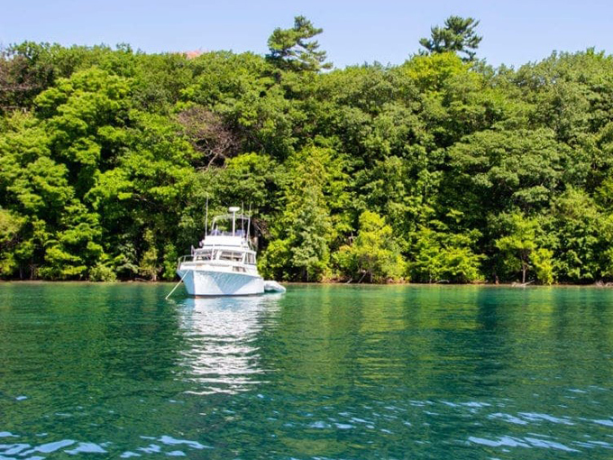 Bassett Island 7
