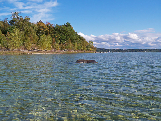 Bassett Island 8
