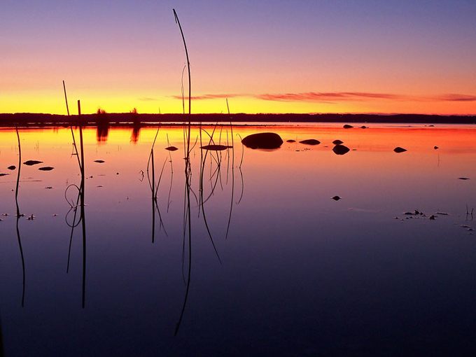Bassett Island 9