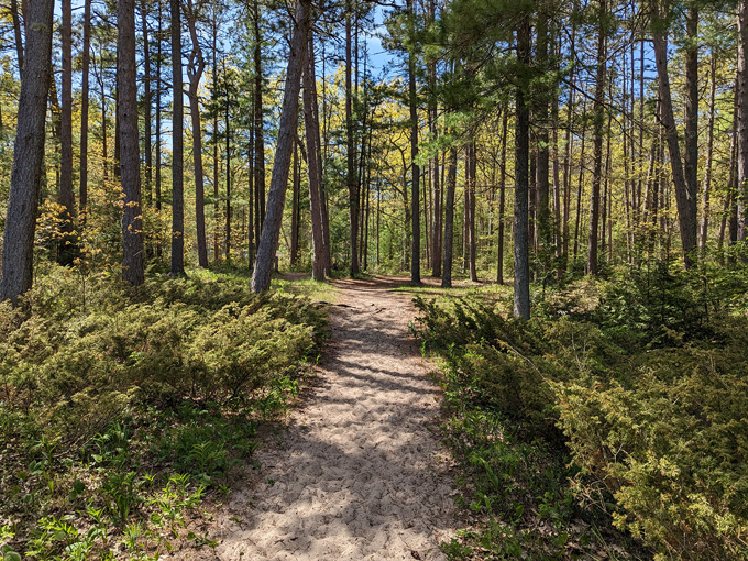Besser Natural Area 2