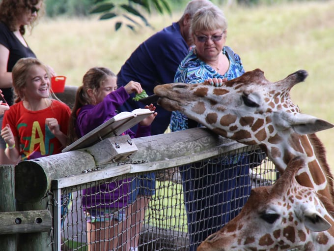 Binder Park Zoo 7