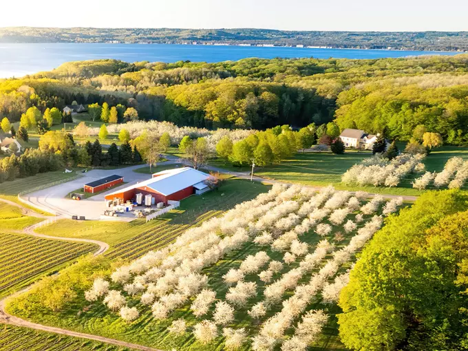 Black Star Farms 1