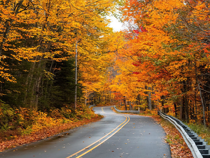 Brockway Mountain Drive 1