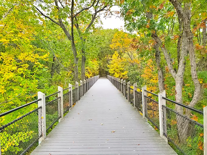 Canopy Walkway at Galien River County Park 1
