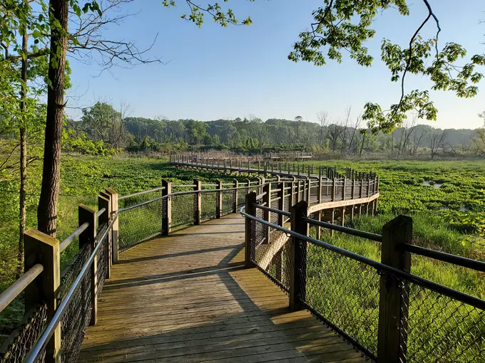 Canopy Walkway at Galien River County Park 2
