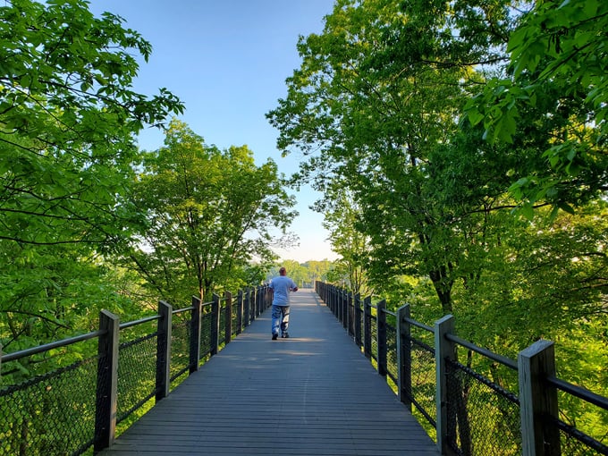 Canopy Walkway at Galien River County Park 3