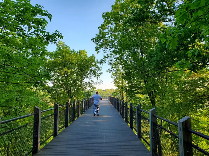 Canopy Walkway at Galien River County Park 3