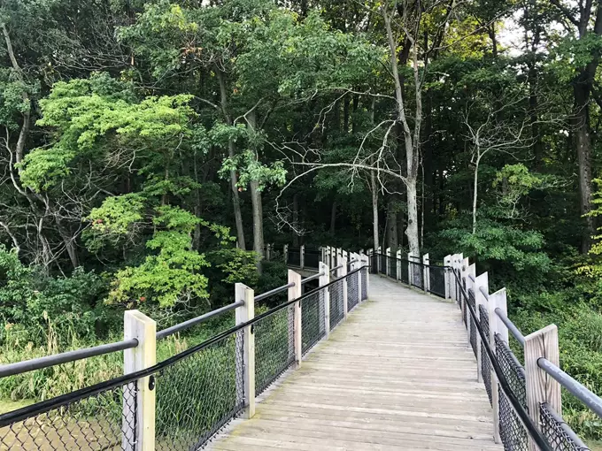 Canopy Walkway at Galien River County Park 4