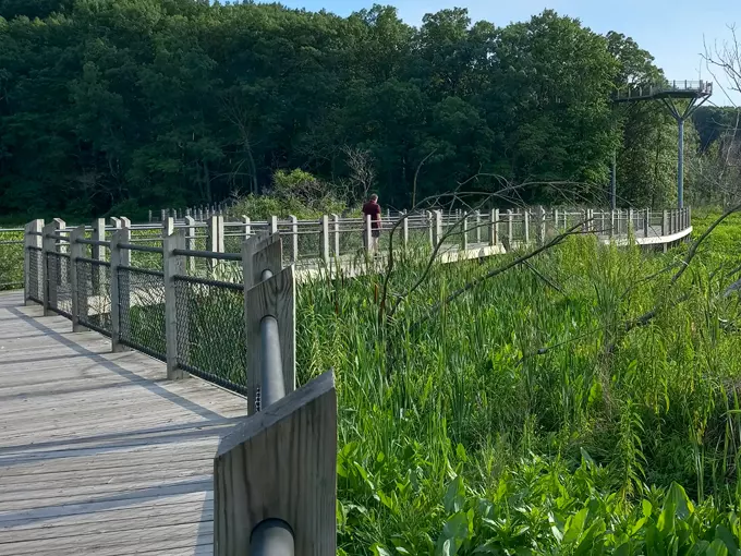 Canopy Walkway at Galien River County Park 5
