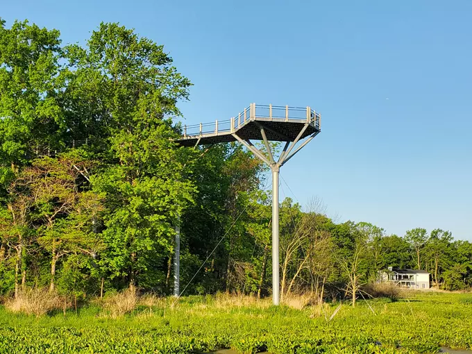 Canopy Walkway at Galien River County Park 6