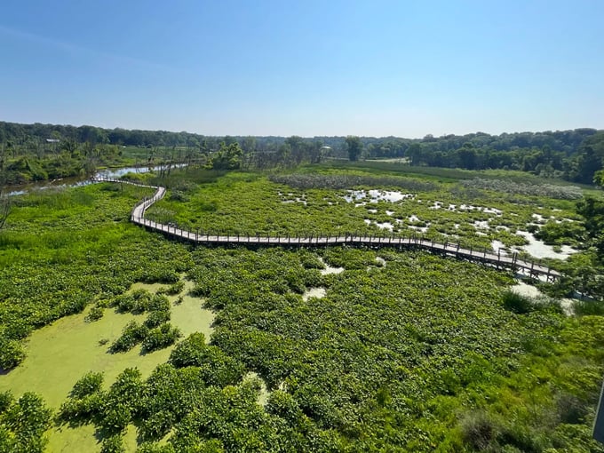Canopy Walkway at Galien River County Park 8