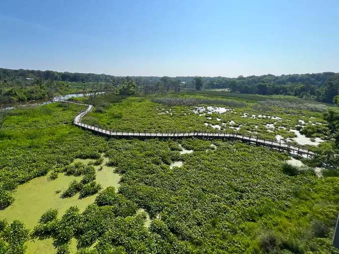 Canopy Walkway at Galien River County Park 8